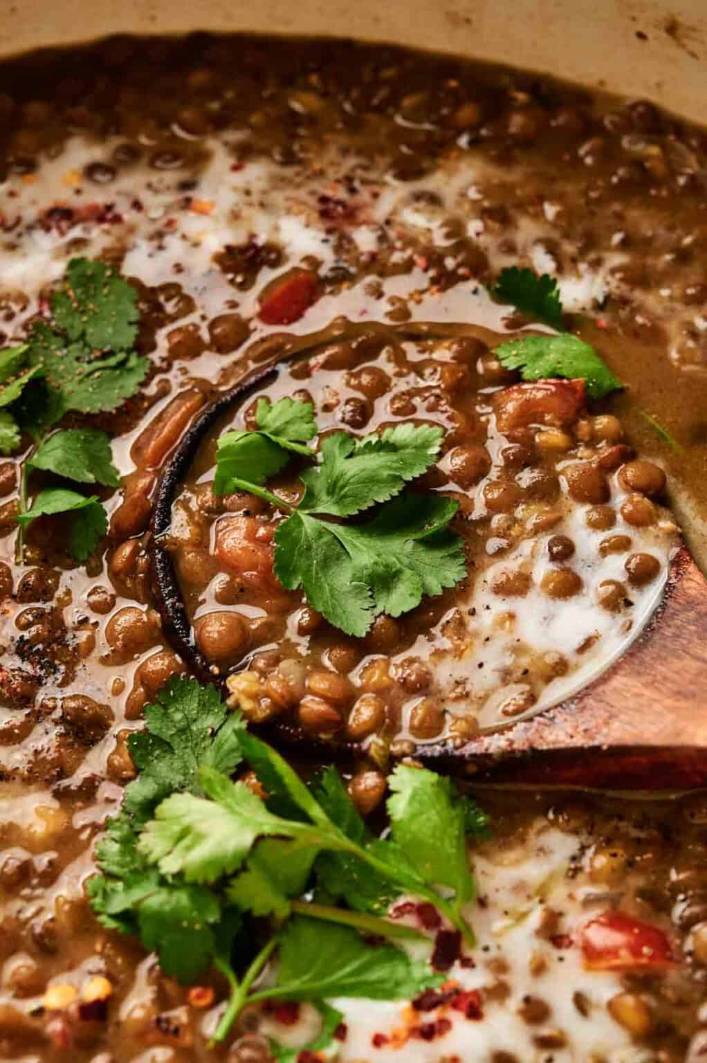 Vegan Lentil Soup Recipe - Two City Vegans